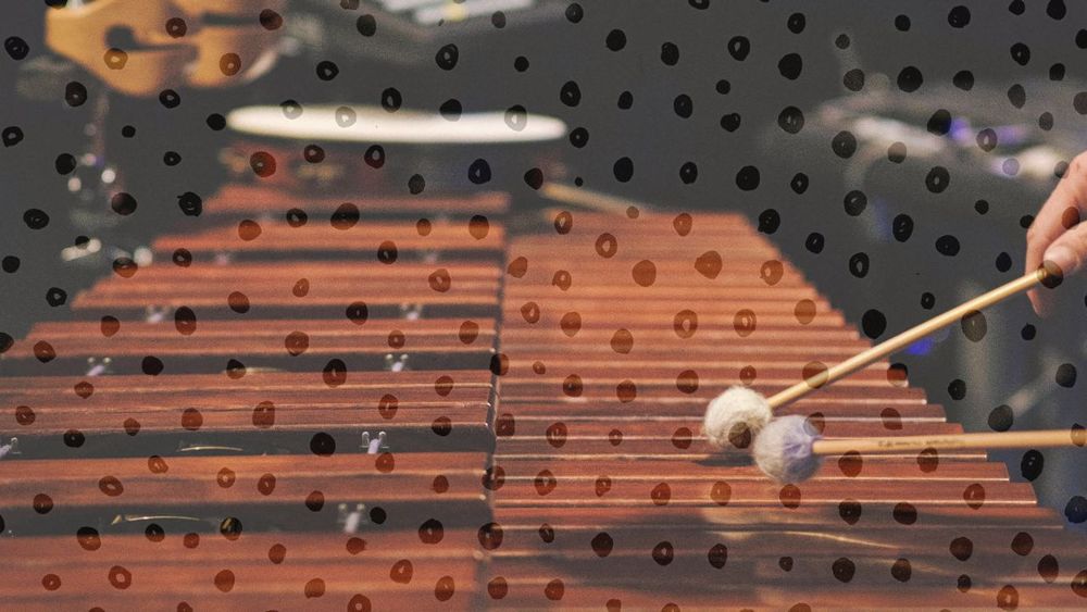 The Percussion Family