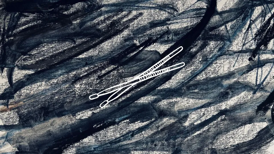 The Percussion Family